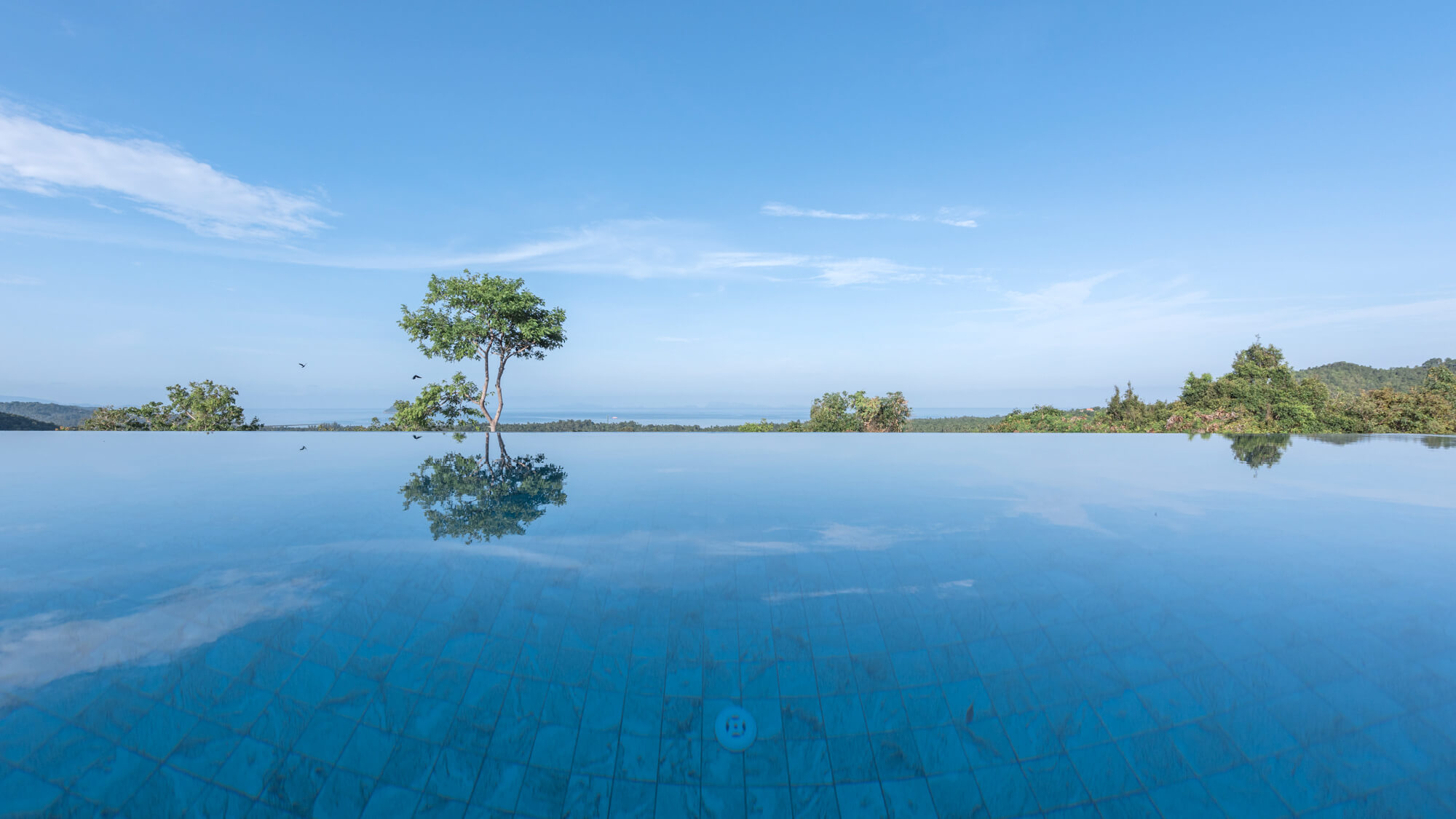 Fernblick - infinity-pool